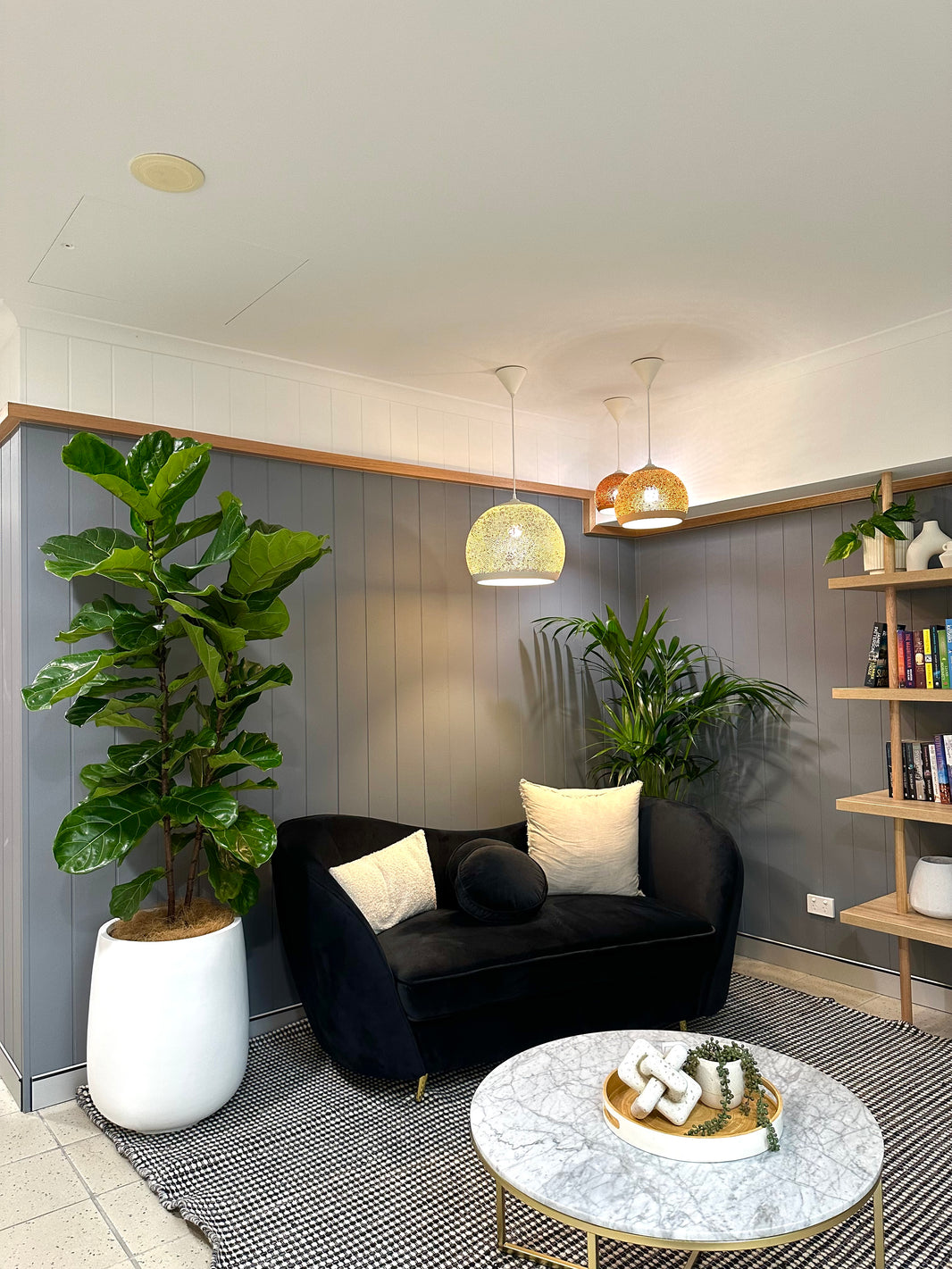 Indoor Plants – Little Leaf Decor
