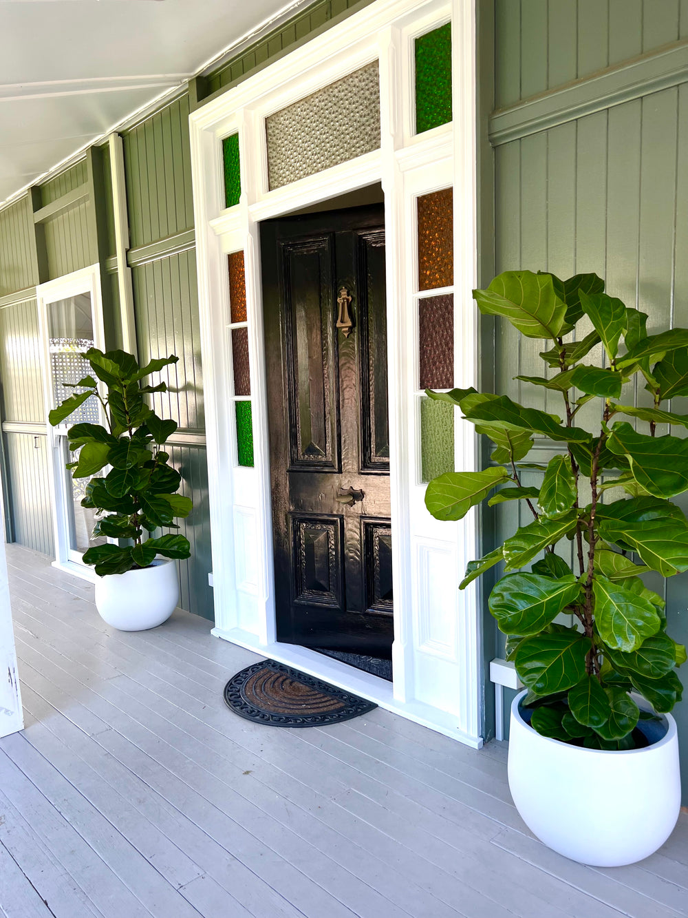 Boutique plants, pots, and home decor