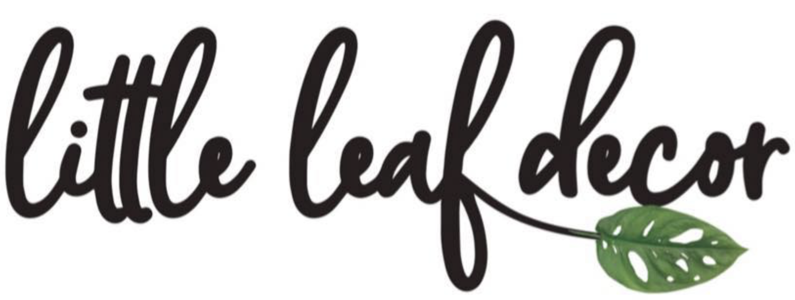 Boutique plants, pots, and home decor – Little Leaf Decor