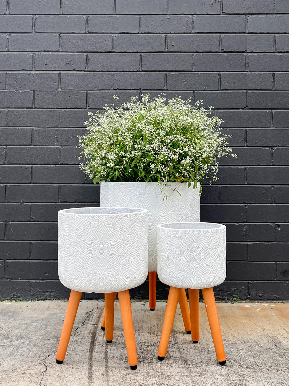 All Pots – Little Leaf Decor